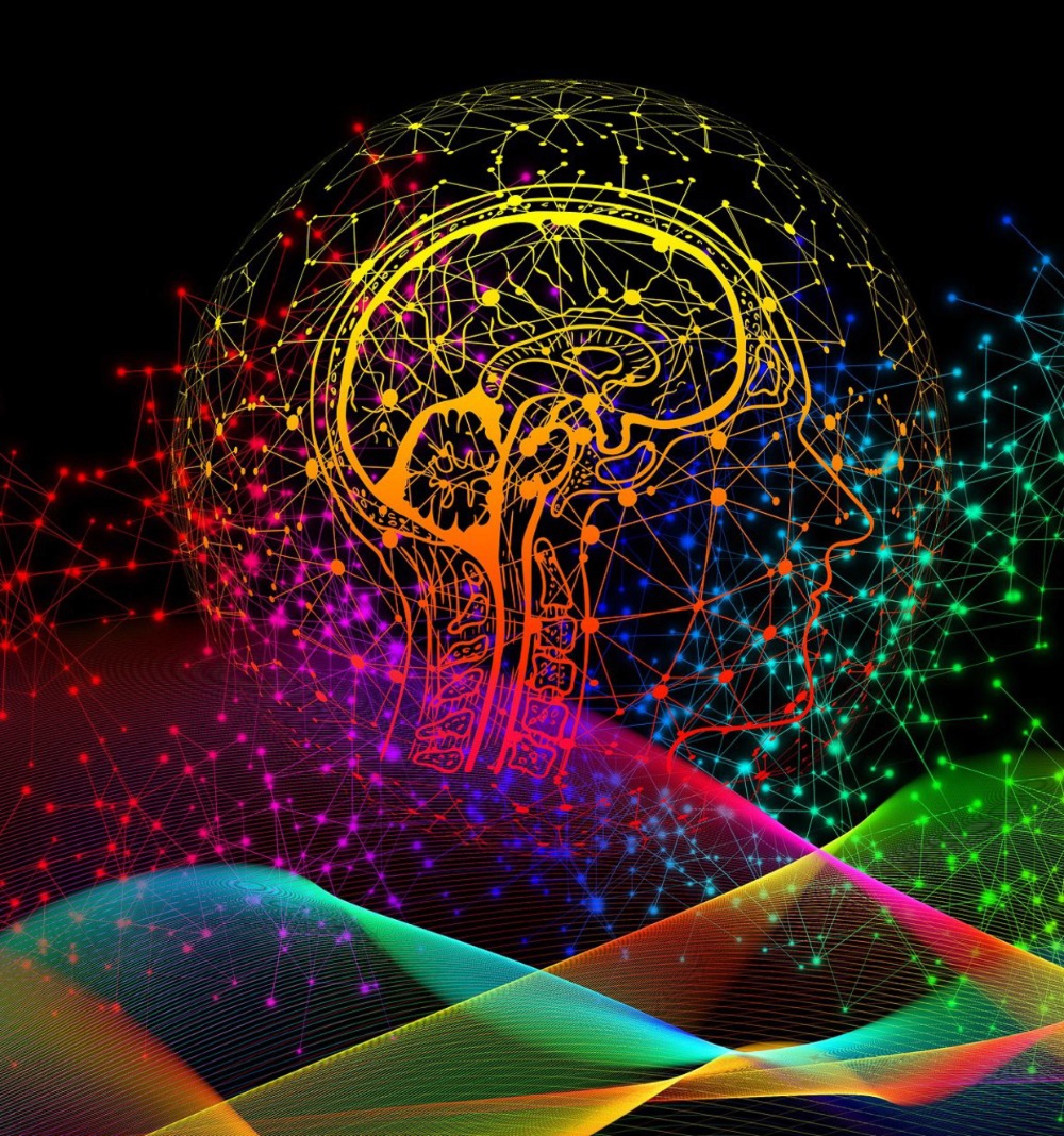 Leben ändern – in 7 Schritten zum Erfolg